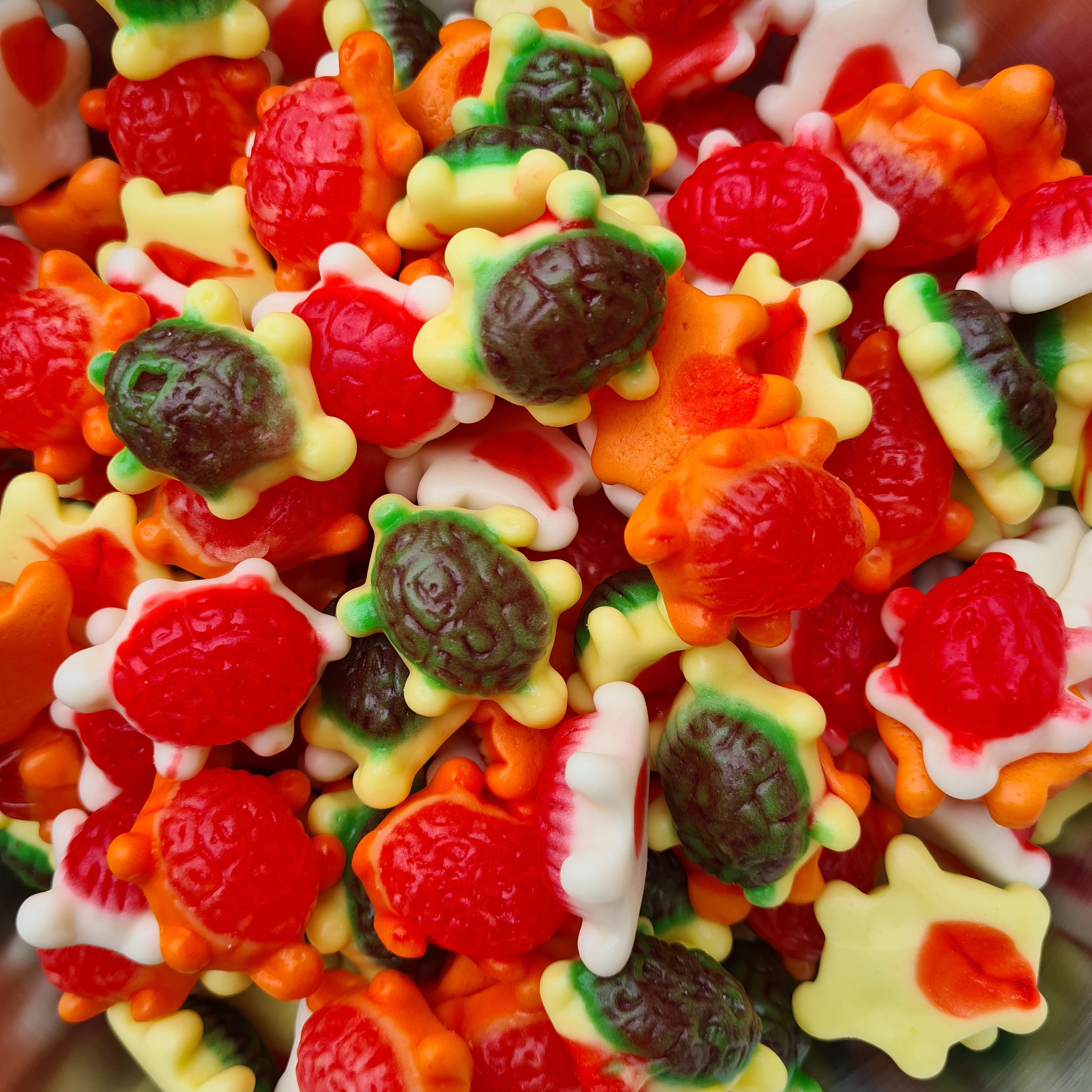 Jelly Filled Turtles – The Sweetz Club